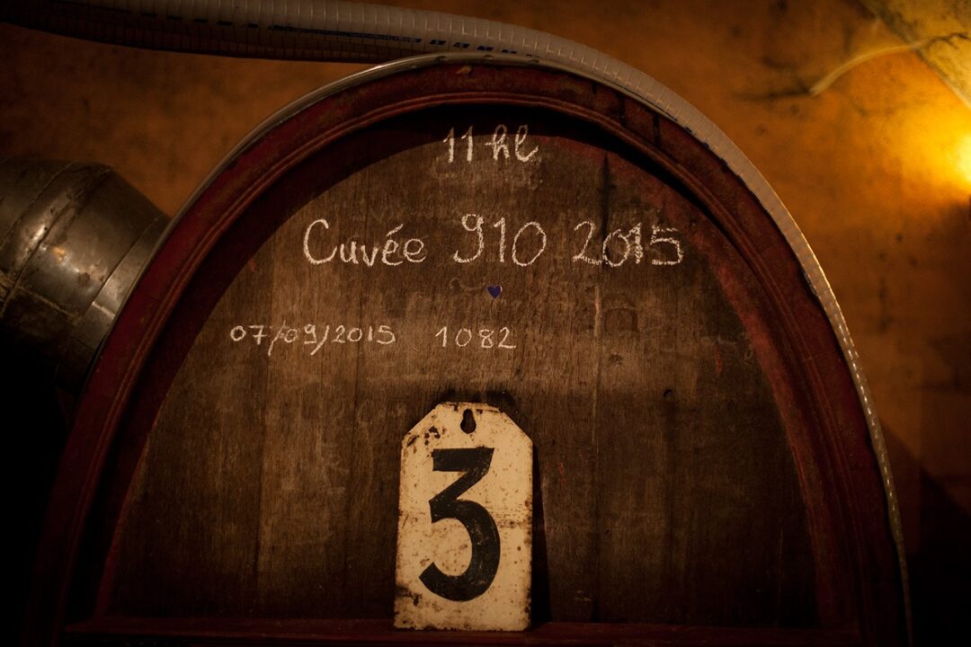 Julien Guillot : domaine des Vignes du Maynes